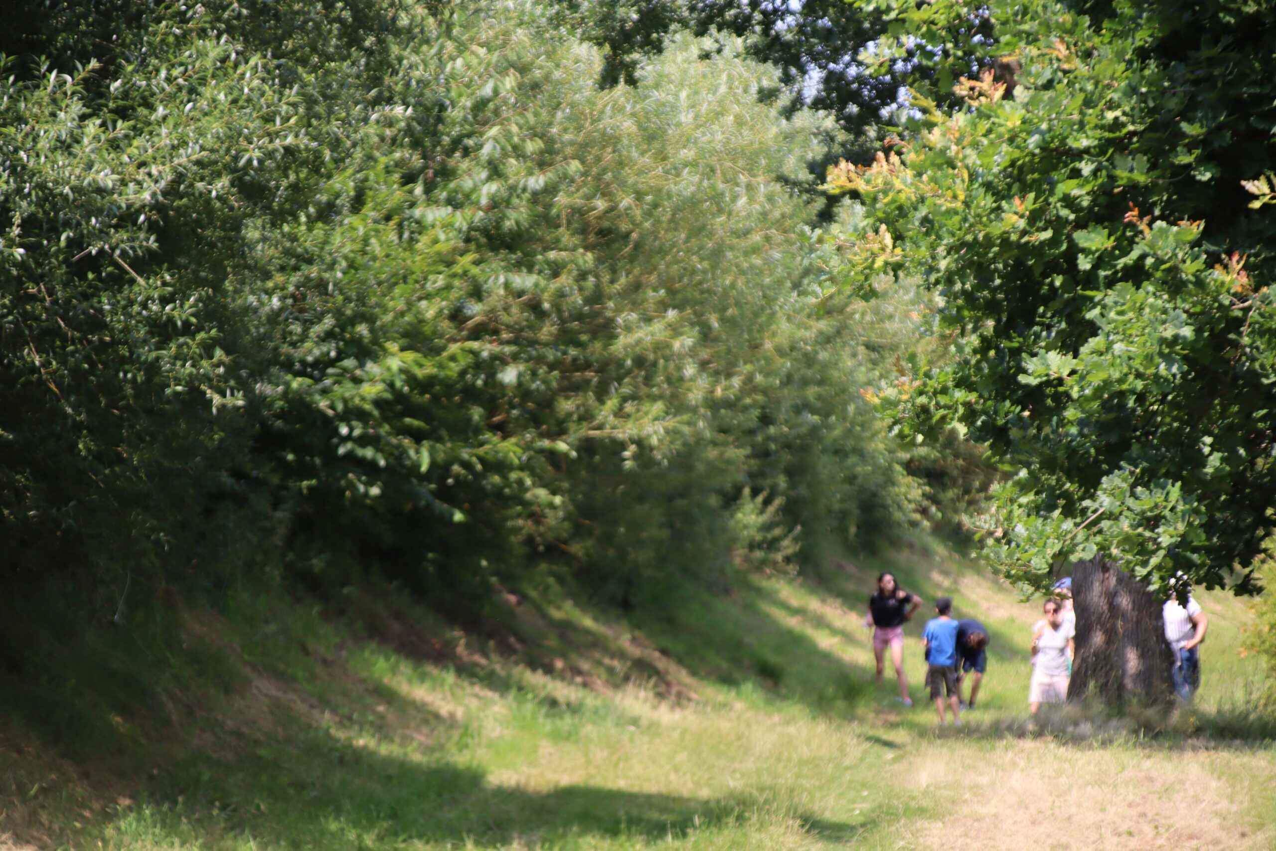 Parcours Permanent d’Orientation – La Guerche de Bretagne